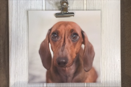 House Signs Archives - Sea Bream Gallery